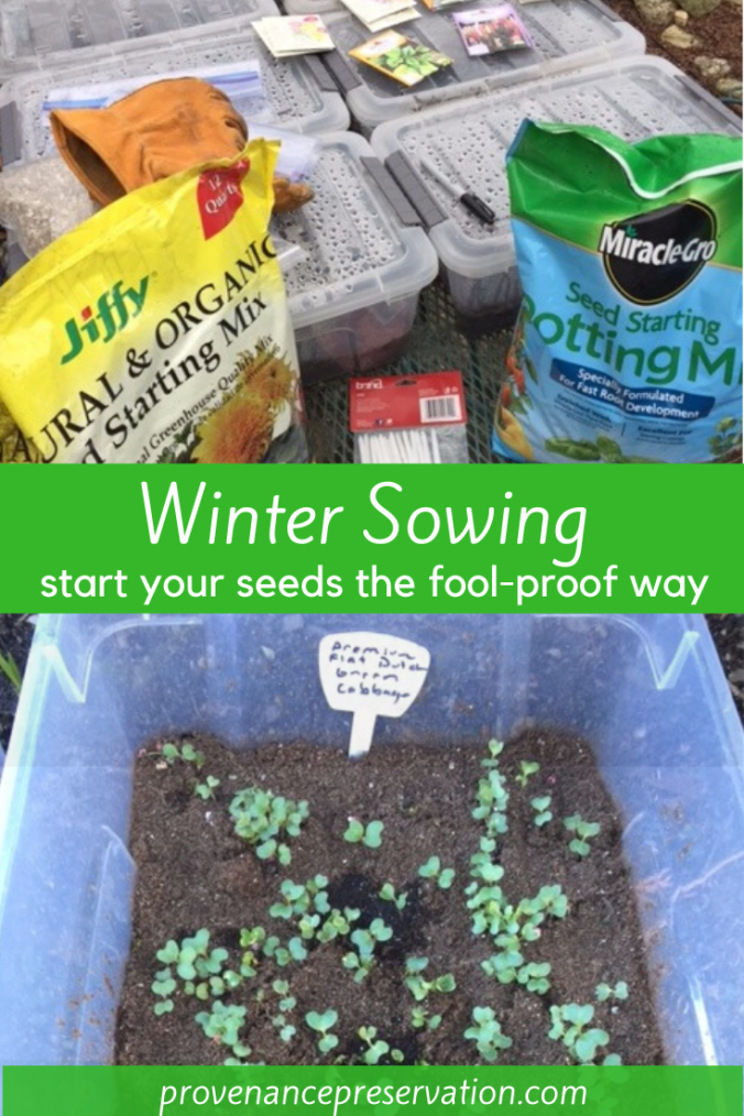 Winter sowing (winter planting): The economical & fool-proof way to ...